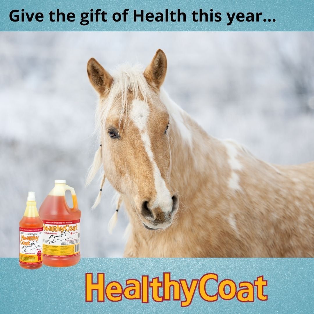 HealthyCoat Liquid Feed Supplement for Your Horses - Bryan, TX - Brazos ...